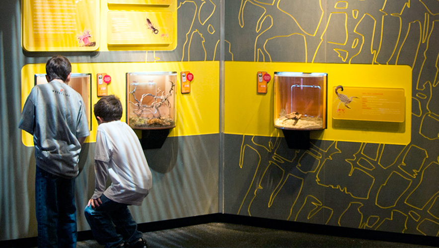 high water design – graphic design for print, web, and physical spaces